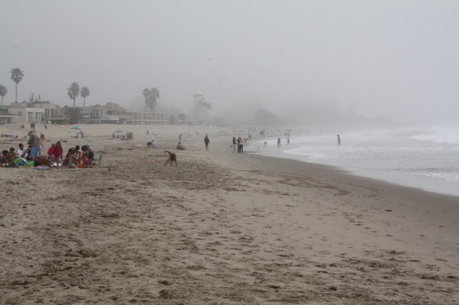 Sandyland Cove Beach in Carpinteria, CA - California Beaches