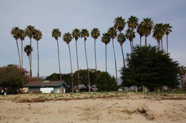 Goleta Beach Park in Goleta, CA - California Beaches