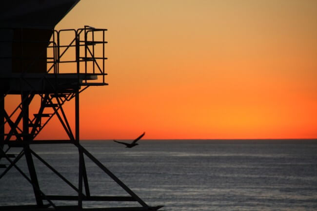 Shell Beach in La Jolla, CA - California Beaches