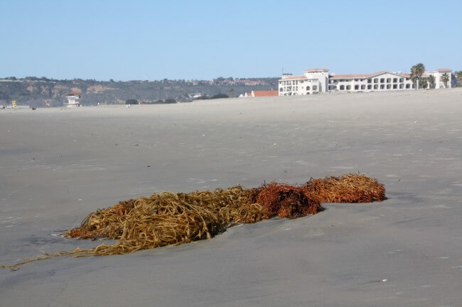 Breakers Beach at Naval Air Station North Island in Coronado, CA ...