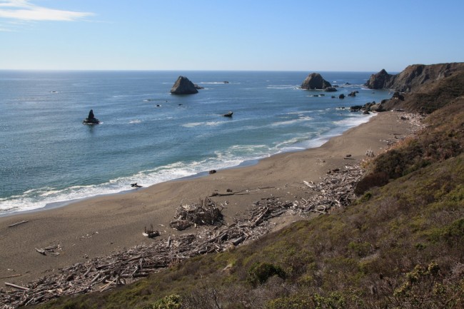 Jenner Beach (Driftwood Beach) in Jenner, CA - California Beaches