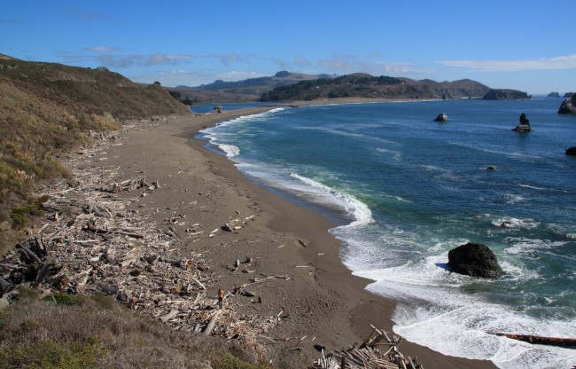 Jenner Beach (Driftwood Beach) in Jenner, CA - California Beaches