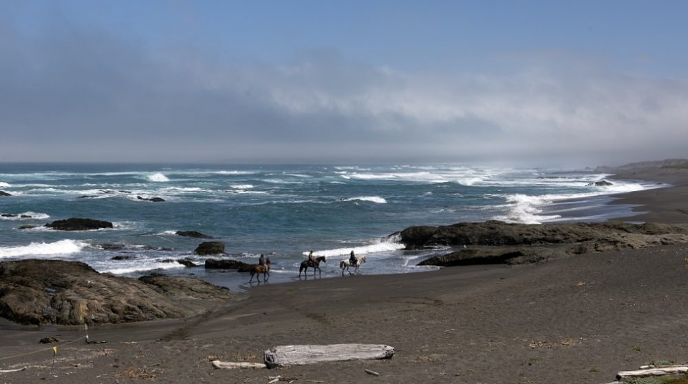 Ten Mile Beach, Fort Bragg, CA - California Beaches