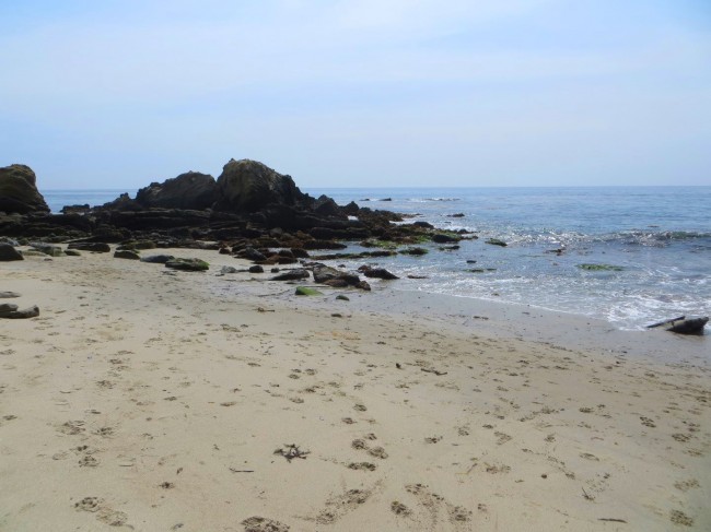 Moss Street Beach in Laguna Beach, CA - California Beaches
