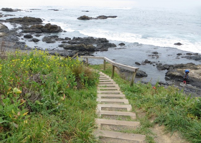 Mal Coombs Park (Shelter Cove Lighthouse) in Whitethorn, CA ...