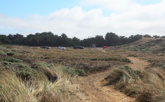 Manchester State Park Beach in Manchester, CA - California Beaches