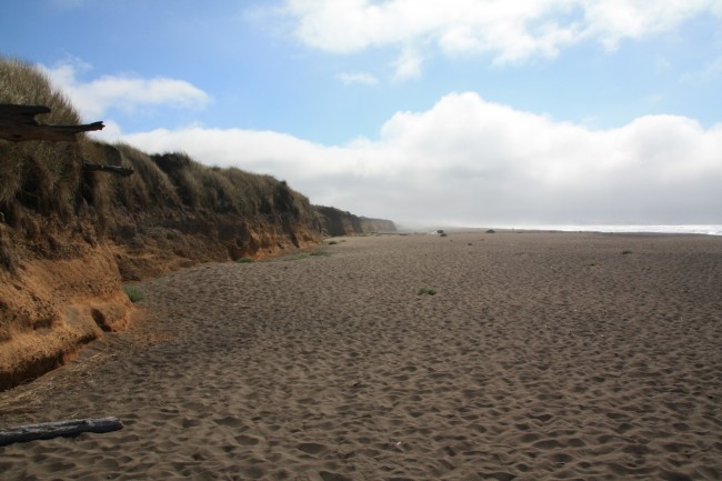 Manchester State Park Beach in Manchester, CA - California Beaches