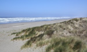 Beaches in Eureka, CA - California Beaches