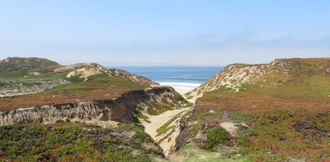 Fort Ord Dunes State Park Beach in Marina, CA - California Beaches
