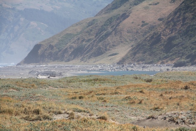 Mattole River Beach in Petrolia, CA - California Beaches