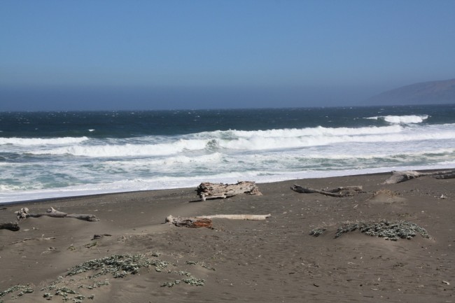Mattole River Beach in Petrolia, CA - California Beaches