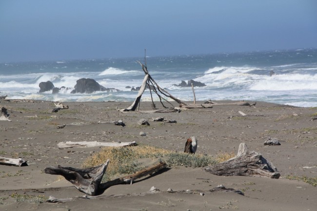Mattole River Beach in Petrolia, CA - California Beaches