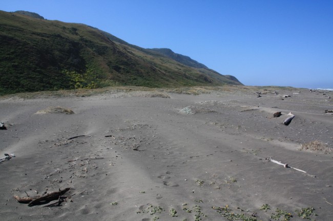 Mattole River Beach in Petrolia, CA - California Beaches