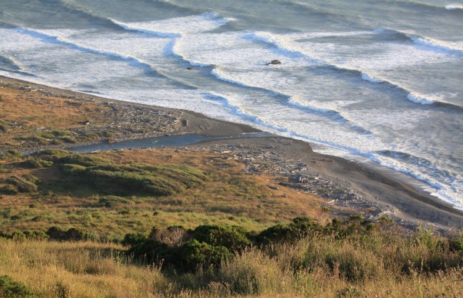 Mattole Road Beaches in Petrolia, CA - California Beaches