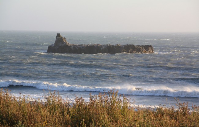 Mattole Road Beaches in Petrolia, CA - California Beaches