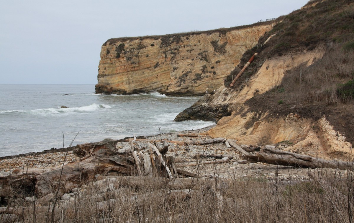 Arena Cove Beach in Point Arena, CA - California Beaches