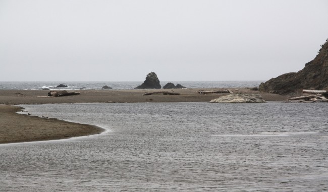 Navarro Beach in Albion, CA - California Beaches