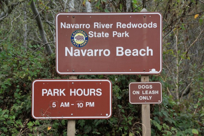 Navarro Beach in Albion, CA - California Beaches