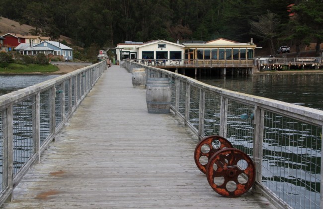 Nick’s Cove and Miller Boat Launch in Marshall, CA - California Beaches