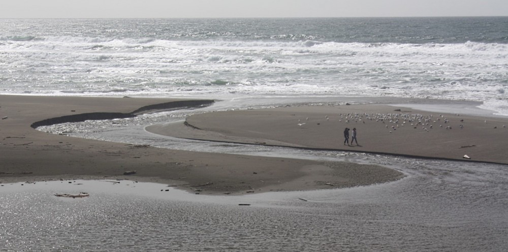 North Salmon Creek Beach in Bodega Bay, CA - California Beaches