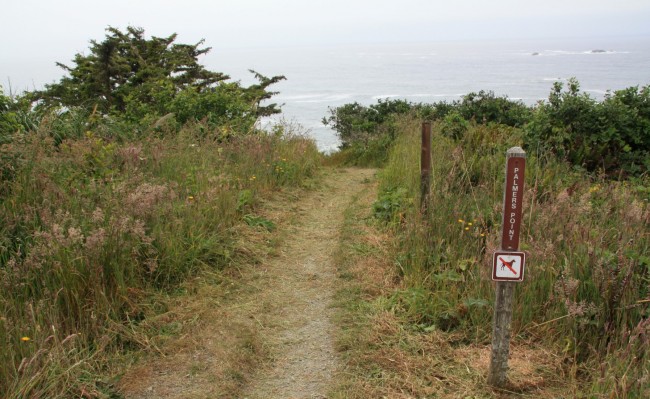 Palmer’s Point at Sue-meg State Park in Trinidad, CA - California Beaches
