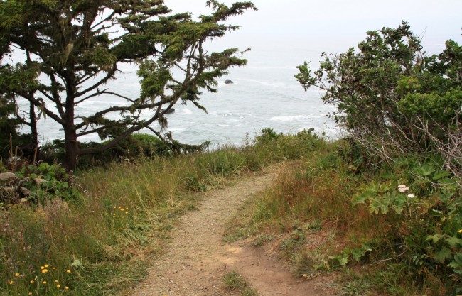 Palmer’s Point at Sue-meg State Park in Trinidad, CA - California Beaches