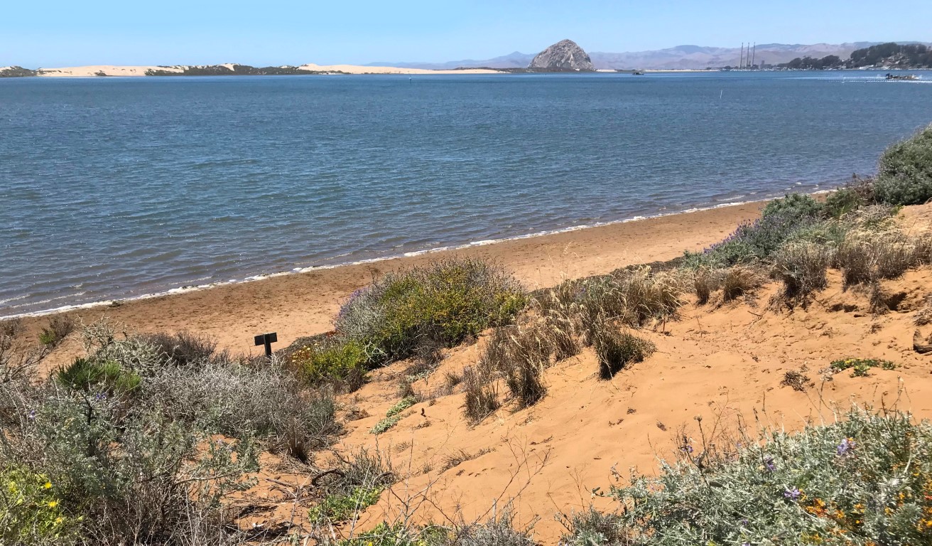 Pasadena Park in Los Osos, CA - California Beaches