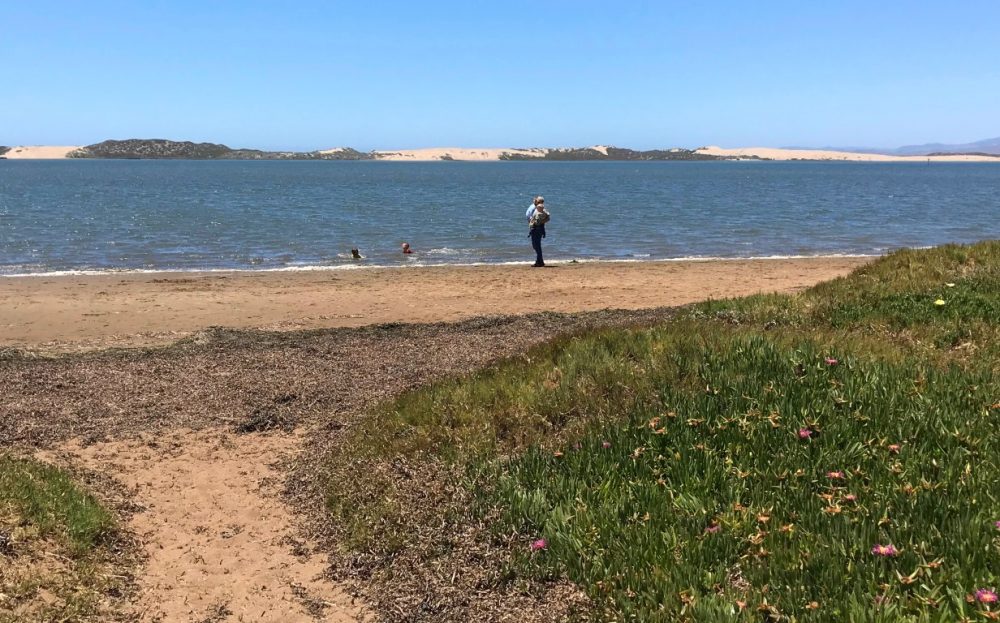 Pasadena Park in Los Osos, CA - California Beaches