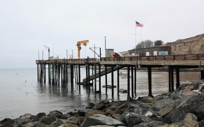 Arena Cove Beach in Point Arena, CA - California Beaches