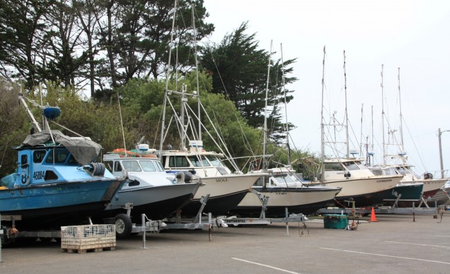 Arena Cove Beach in Point Arena, CA - California Beaches
