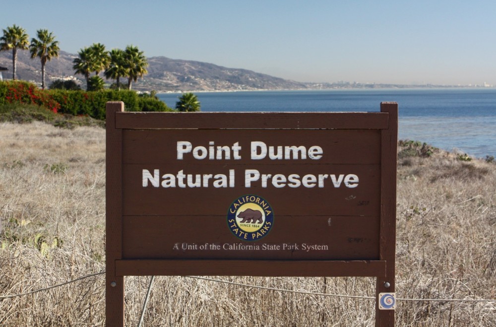 Point Dume State Beach in Malibu, CA - California Beaches