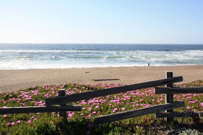 Point Reyes North Beach in Inverness, CA - California Beaches