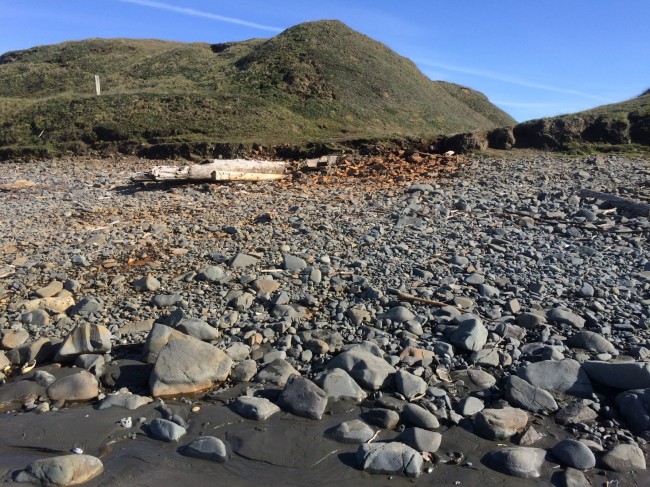 Point St. George Beach in Crescent City, CA - California Beaches