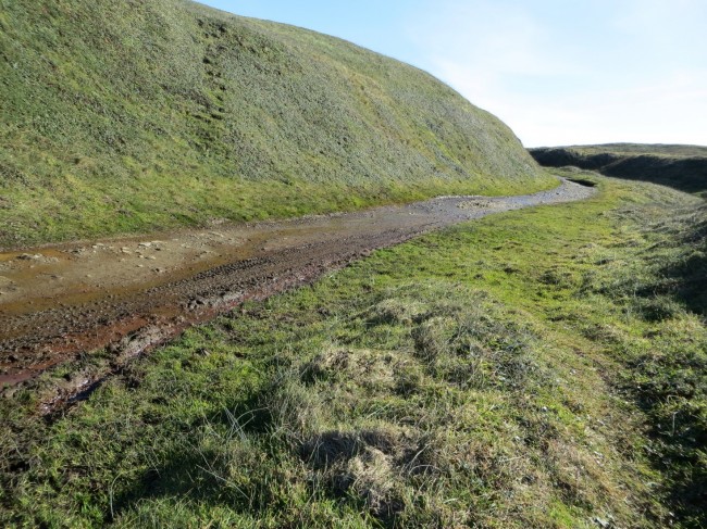 Point St. George Beach in Crescent City, CA - California Beaches