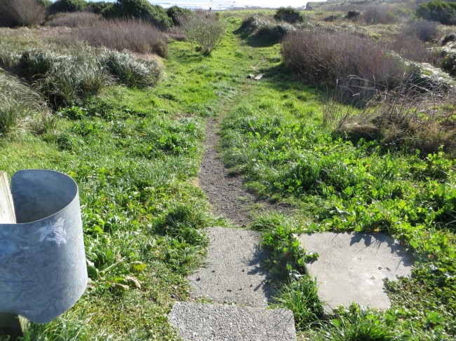 Point St. George Beach in Crescent City, CA - California Beaches