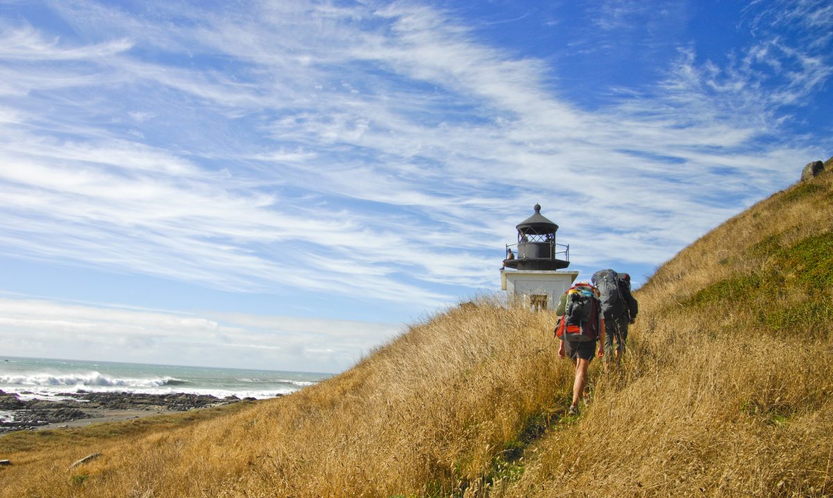 Mattole River Beach in Petrolia, CA - California Beaches