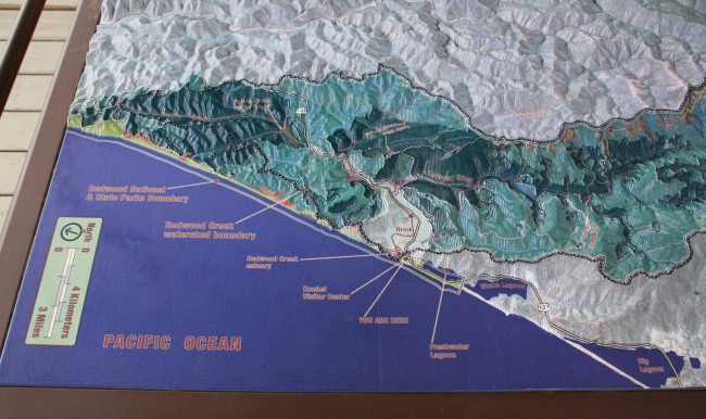 Redwood Creek Picnic Area Beach in Orick, CA - California Beaches