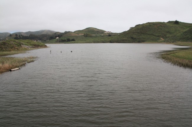 Rodeo Beach in Sausalito, CA - California Beaches