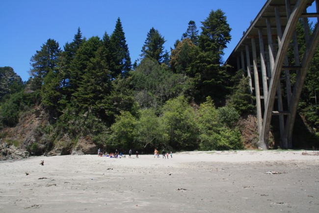 Russian Gulch State Park in Mendocino, CA - California Beaches