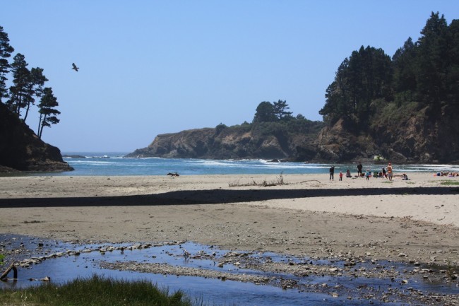 Russian Gulch State Park in Mendocino, CA - California Beaches