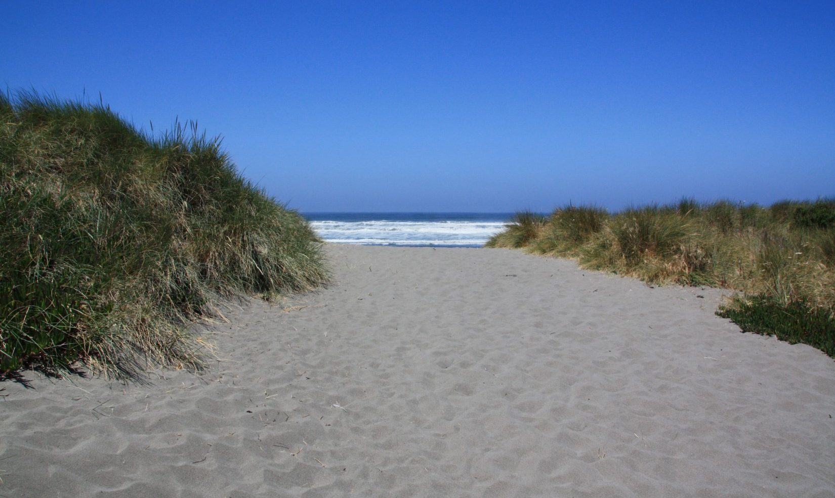 Samoa Dunes Recreation Area in Samoa, CA - California Beaches