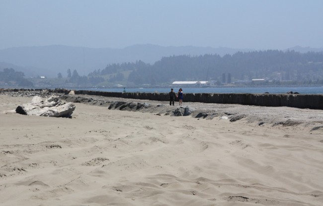 Samoa Dunes Recreation Area in Samoa, CA - California Beaches