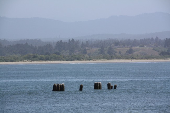 Samoa Dunes Recreation Area in Samoa, CA - California Beaches