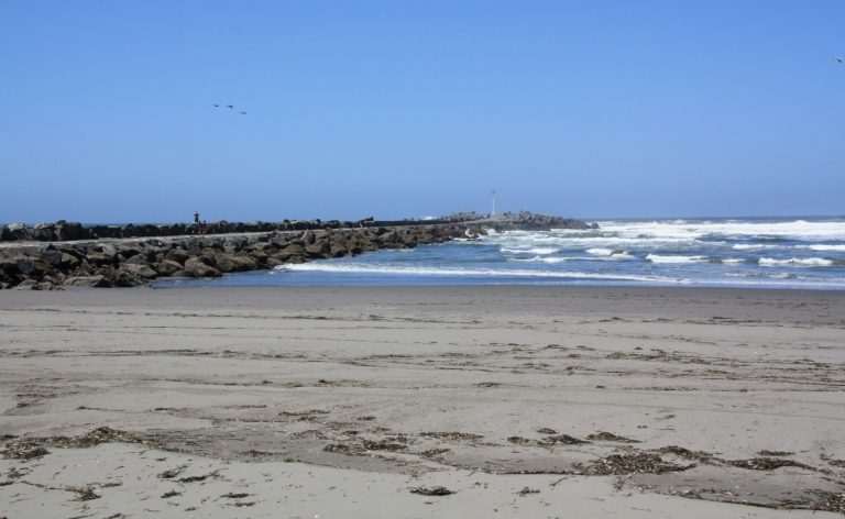 Mike Thompson Wildlife Area, South Spit Humboldt Bay in Loleta, CA ...