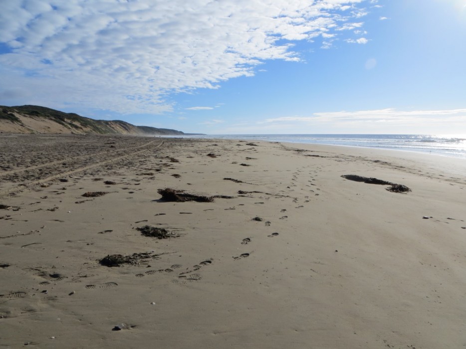 Sandspit Beach - Montana de Oro State Park in Los Osos, CA - California ...