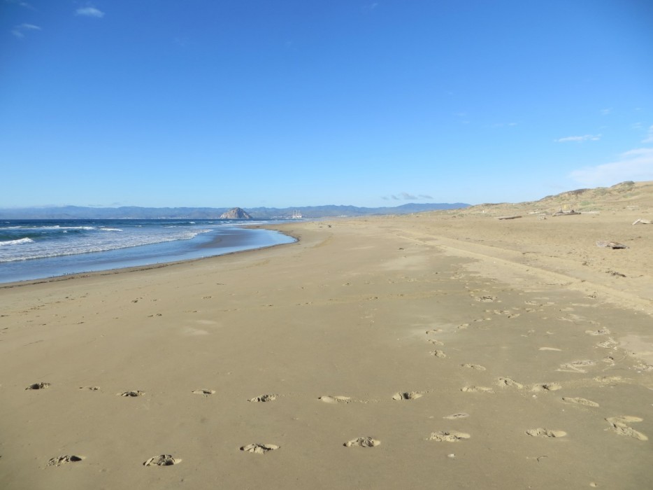 Sandspit Beach - Montana de Oro State Park in Los Osos, CA - California ...