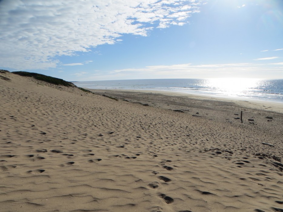 Sandspit Beach - Montana de Oro State Park, Los Osos, CA - California ...