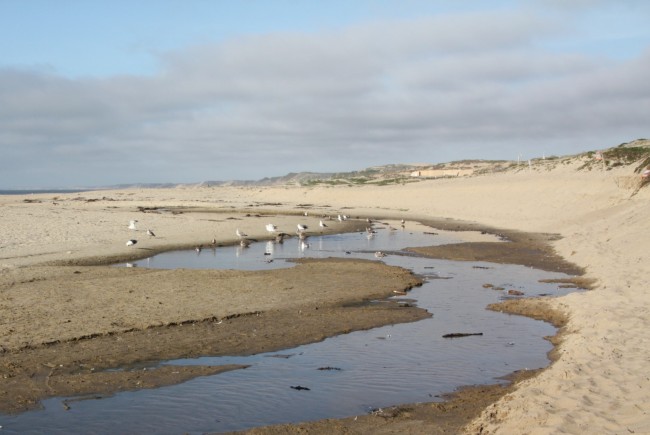 Monterey State Beach – Seaside Beach in Seaside, CA - California Beaches