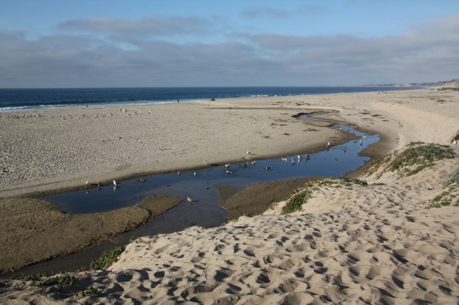 Monterey State Beach – Seaside Beach in Seaside, CA - California Beaches