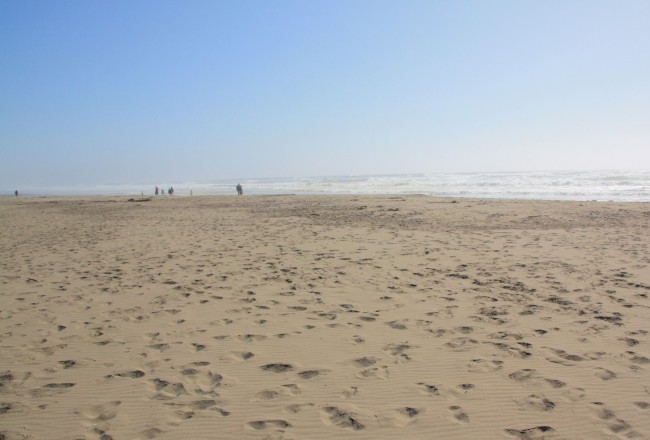 Seaside Beach in Fort Bragg, CA - California Beaches